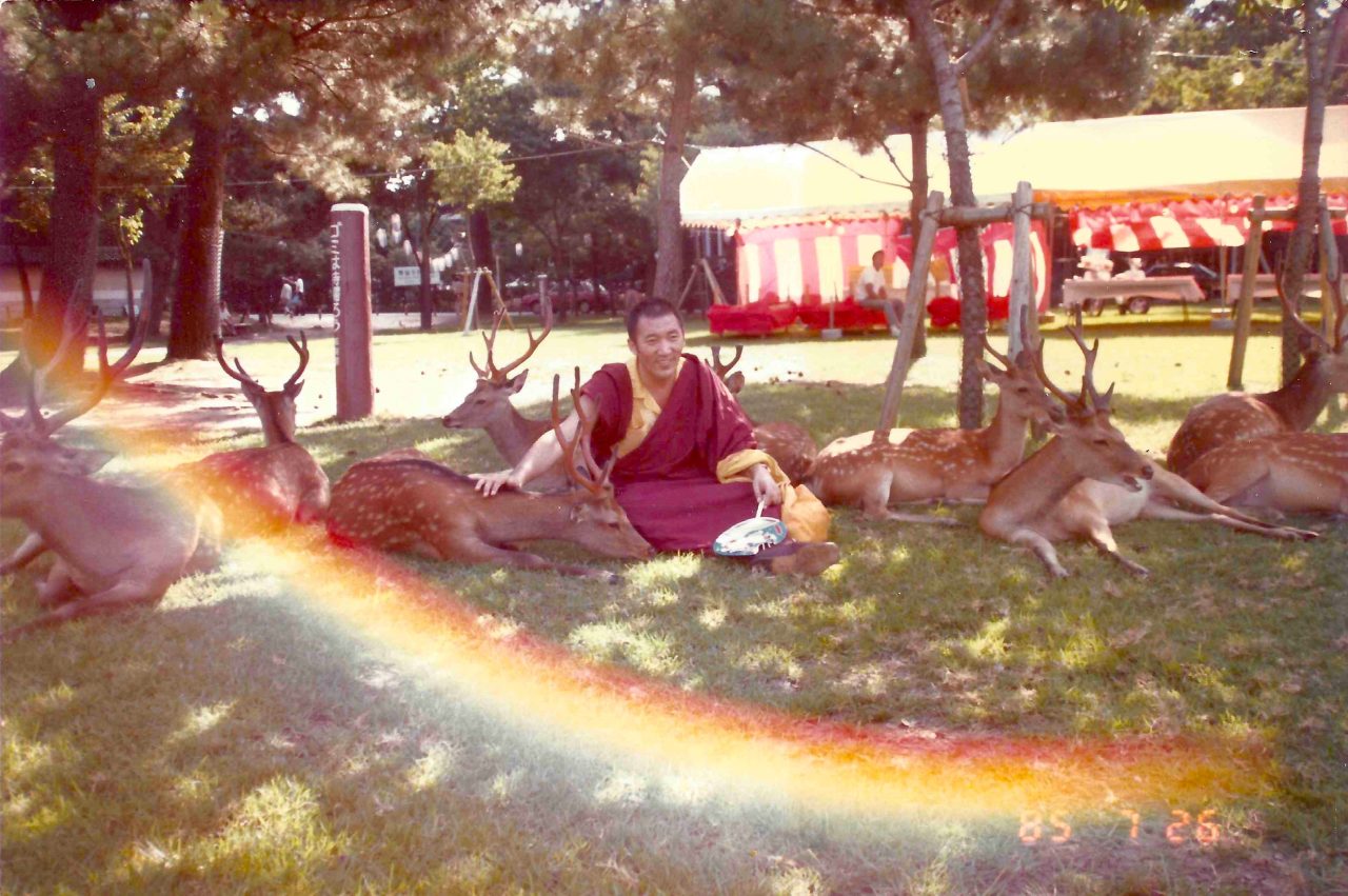 Phowa | His Eminence Ayang Rinpoche